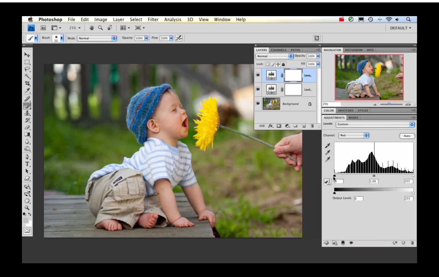 How to Adjust Levels in Photoshop - Photofocus