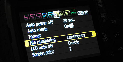 An Open Letter to Digital Camera Manufacturers Regarding Camera File ...