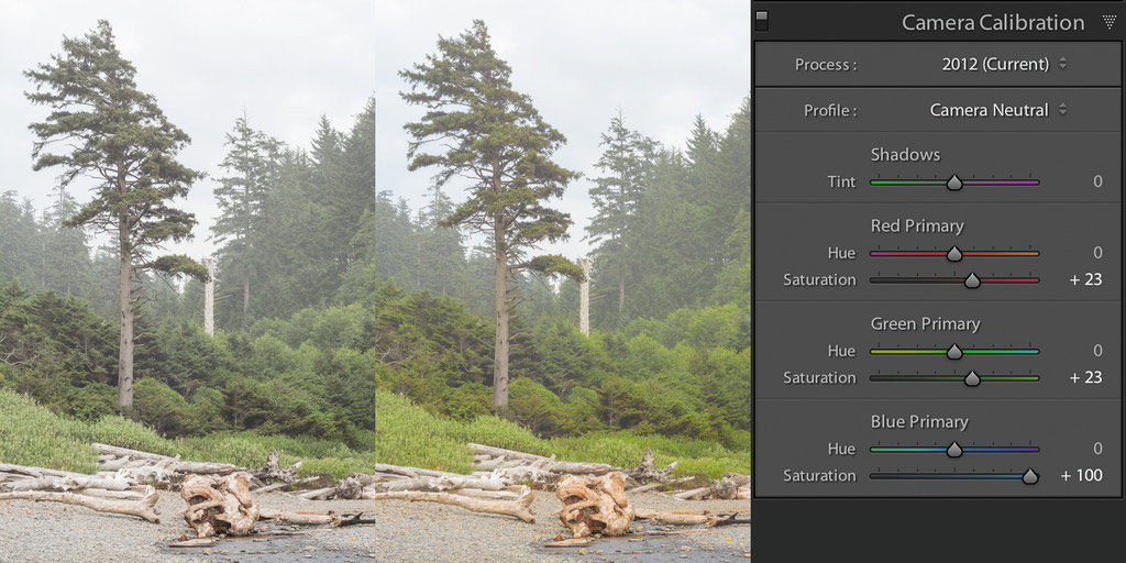 Use Lightroom's Camera Calibration for Punchy Professional Looking ...