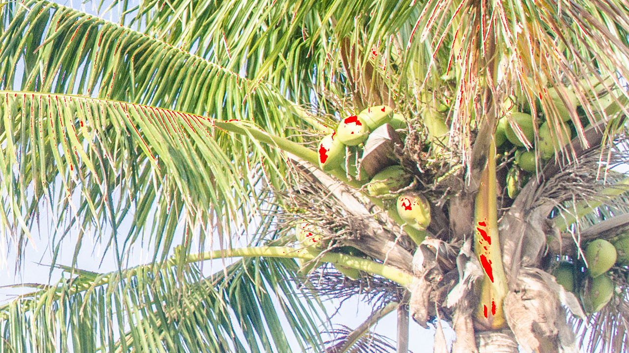 Avoid Clipping Your Highlights With Adobe Camera Raw - Photofocus