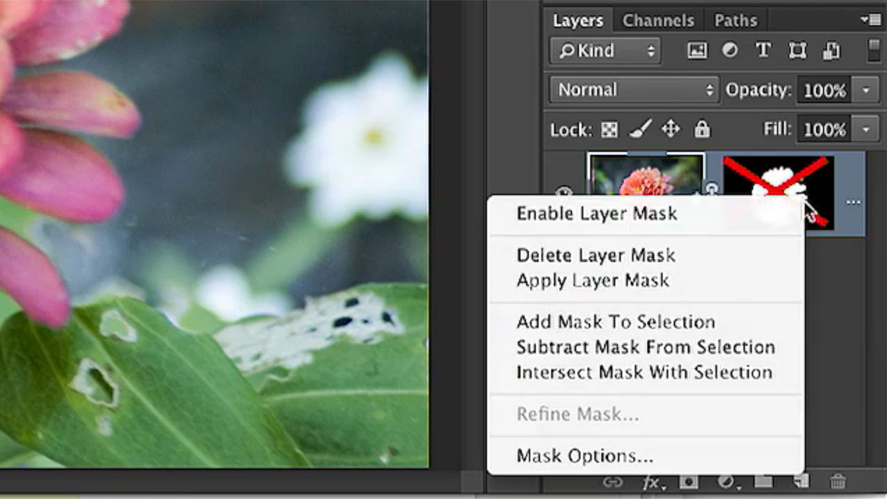 Disabling Photoshop Layer Masks - Photofocus