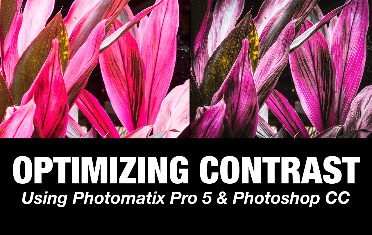 Optimizing Contrast in a Photo - Photofocus