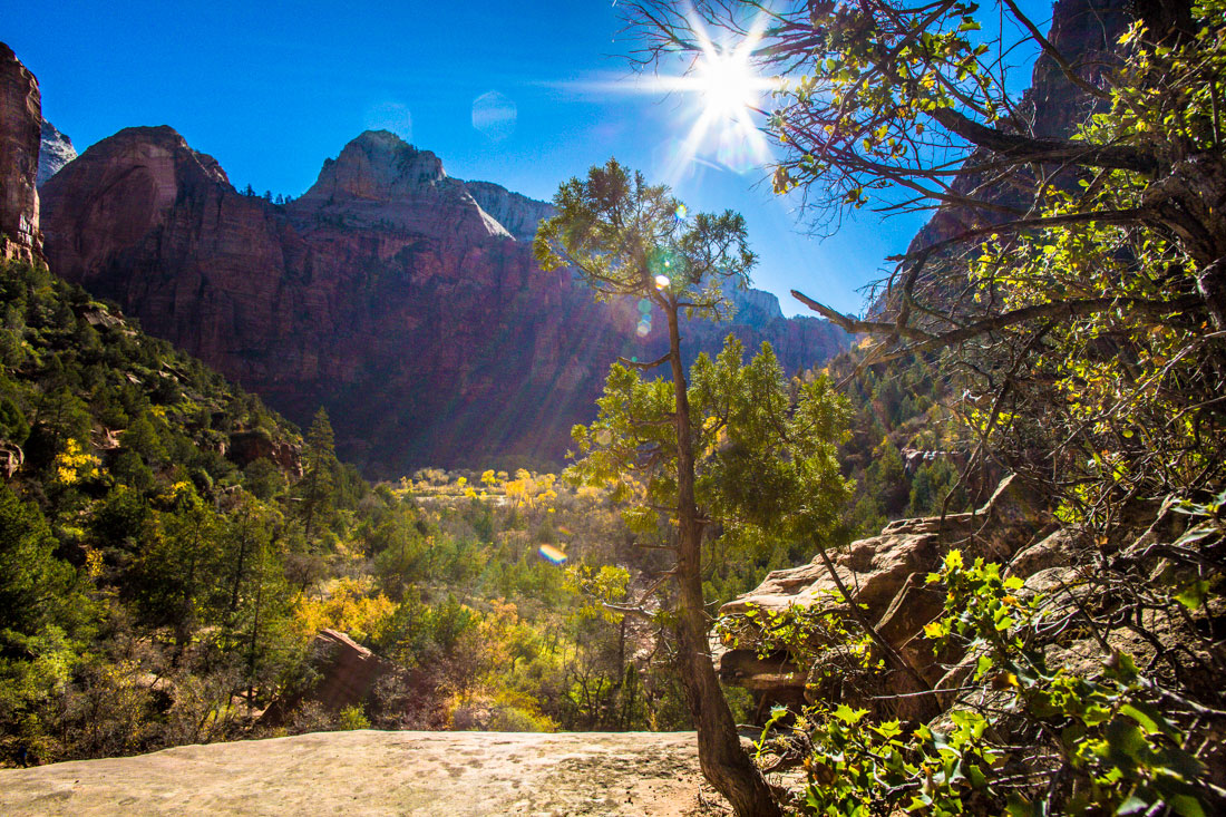 When to Use Back Light - Photofocus