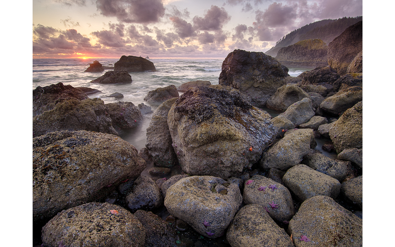 Is Bigger Better? Exploring Medium Format Photography - Photofocus