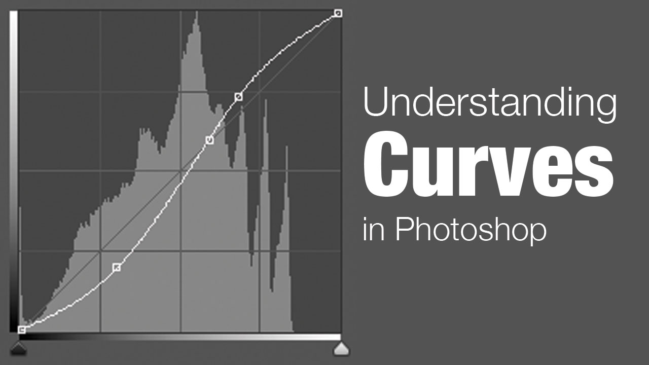 Understanding the Curves Command in Photoshop - Photofocus