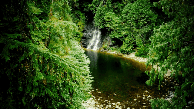 Falling Water in Vancouver - Photofocus