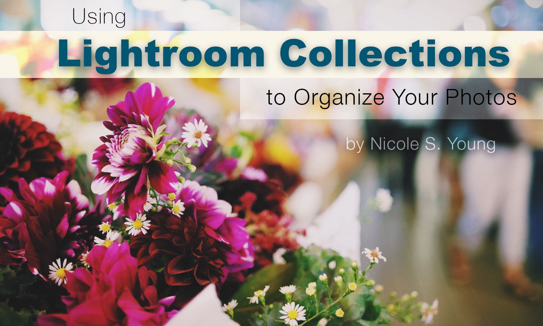 Using Lightroom Collections to Organize Your Photos - Photofocus