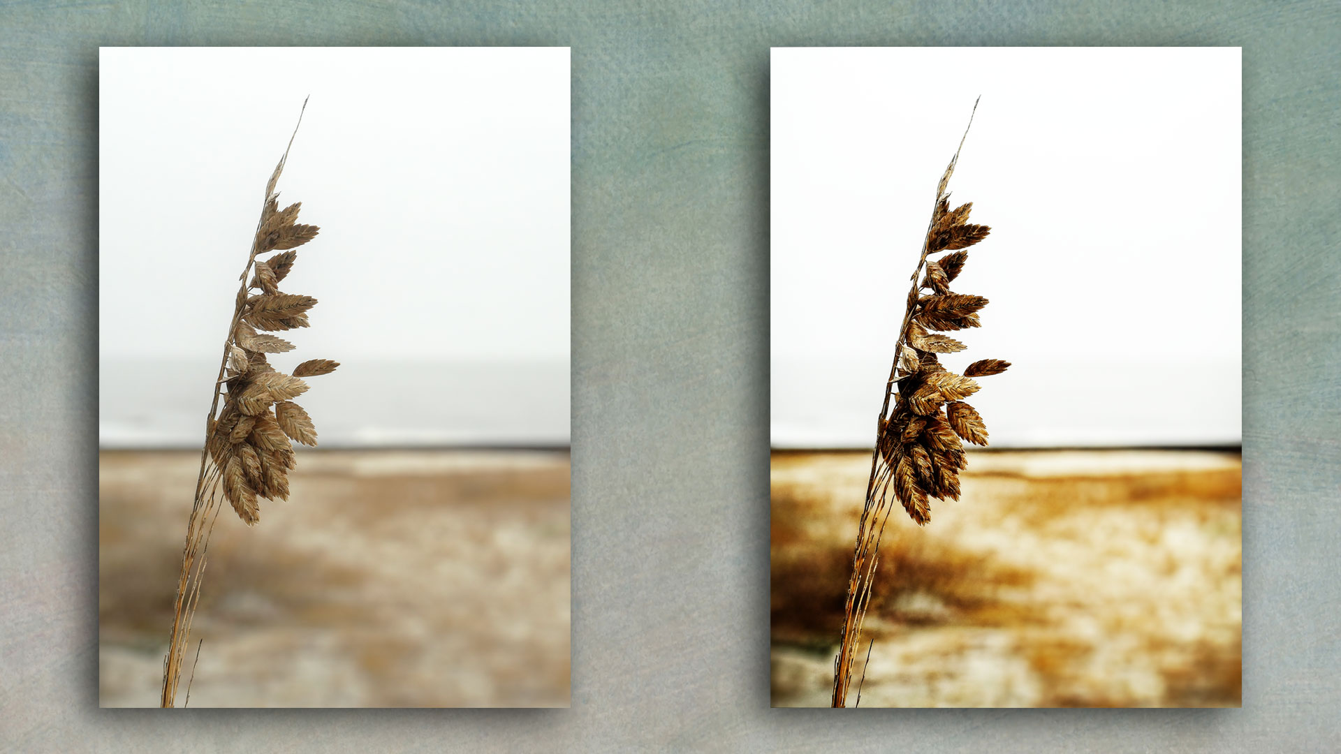 Creating a Bleak Winter Day with Perfect Photo Suite - Photofocus