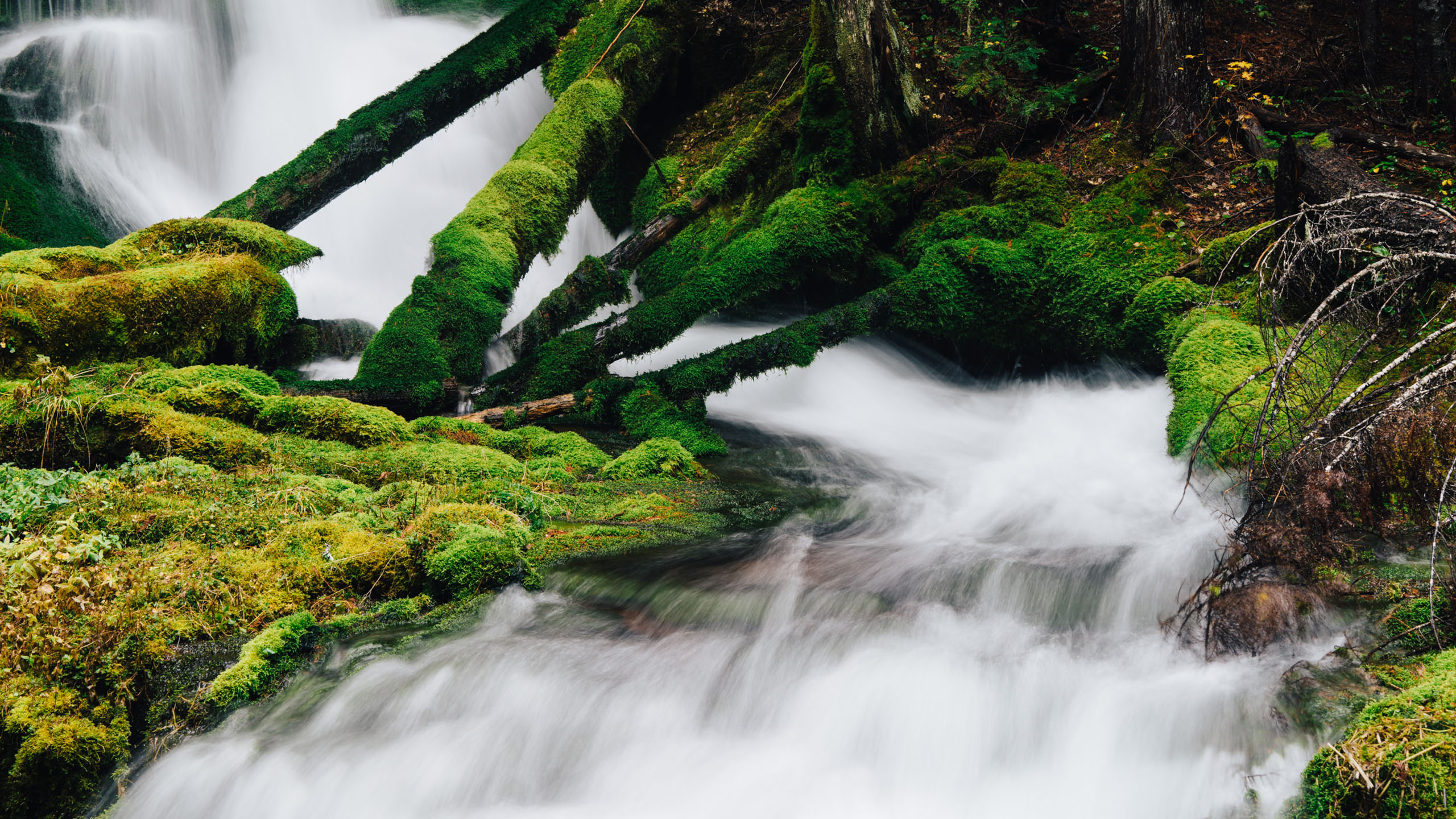 Five beautiful waterfalls in the Pacific Northwest - Photofocus