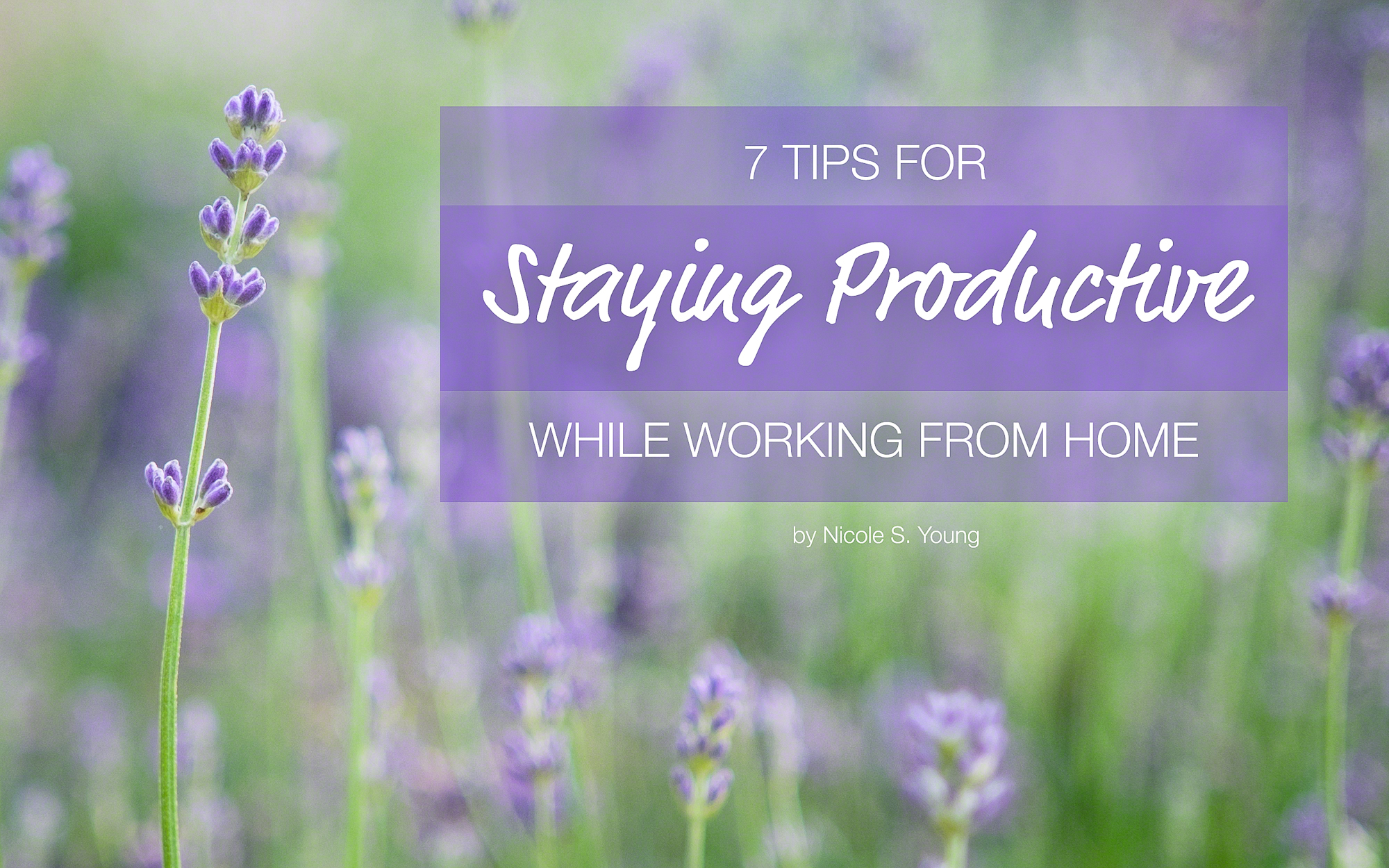 7 Tips for Staying Productive While Working From Home - Photofocus