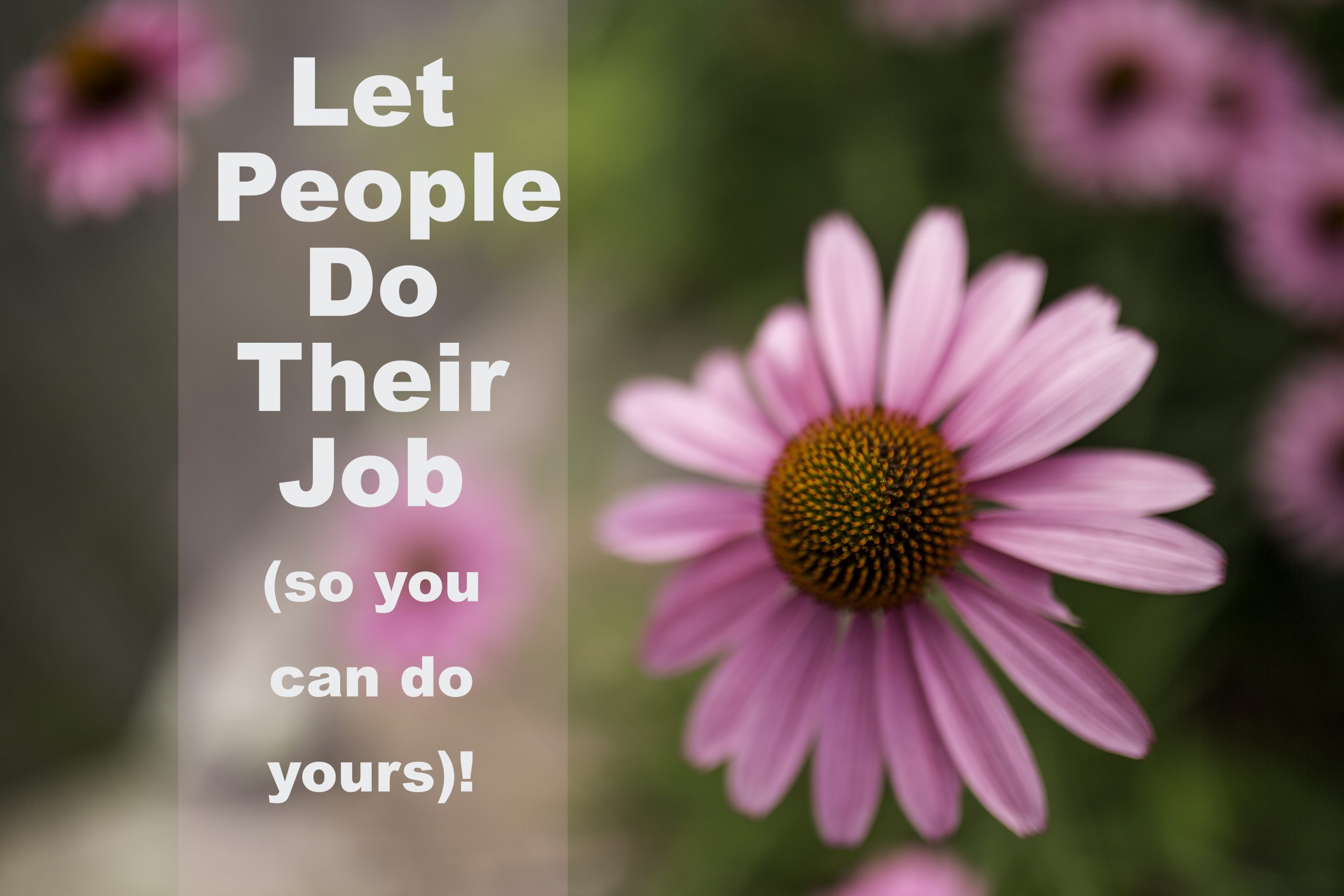 Let People Do Their Job (so you can do yours)! - Photofocus