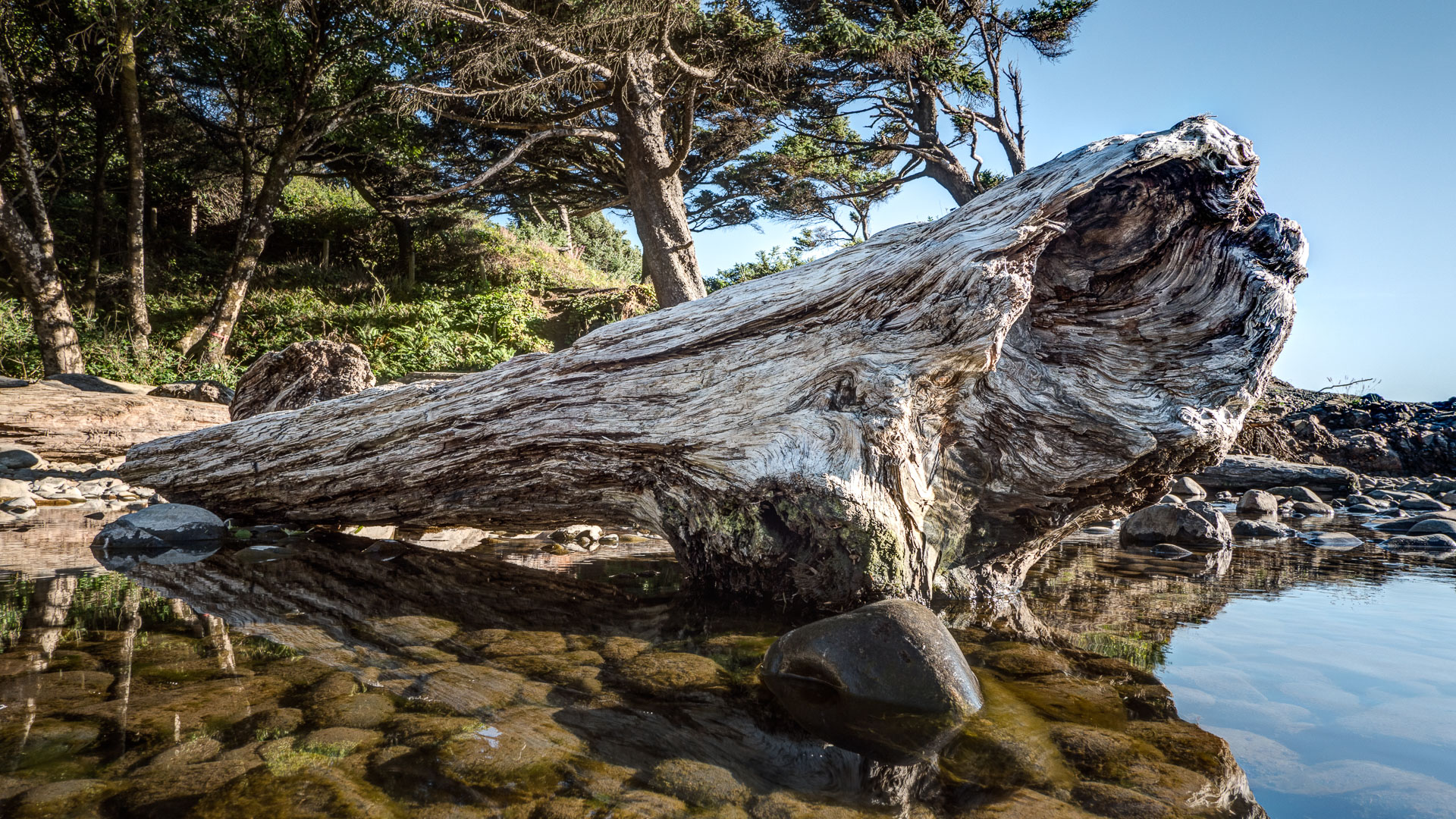 Change perspective to make better photos - Photofocus