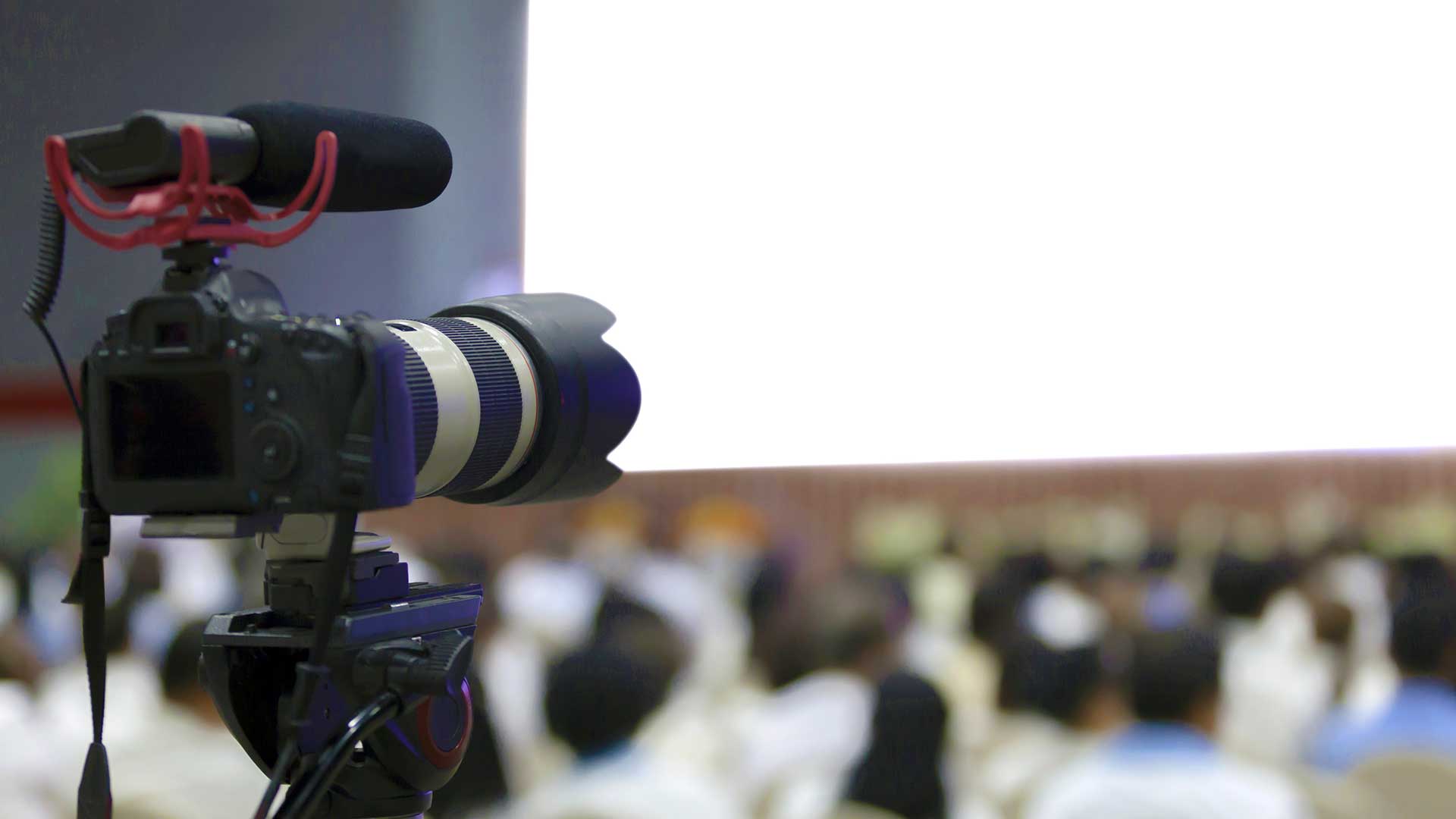 Quickly Calibrate DSLR Cameras for Video - Photofocus