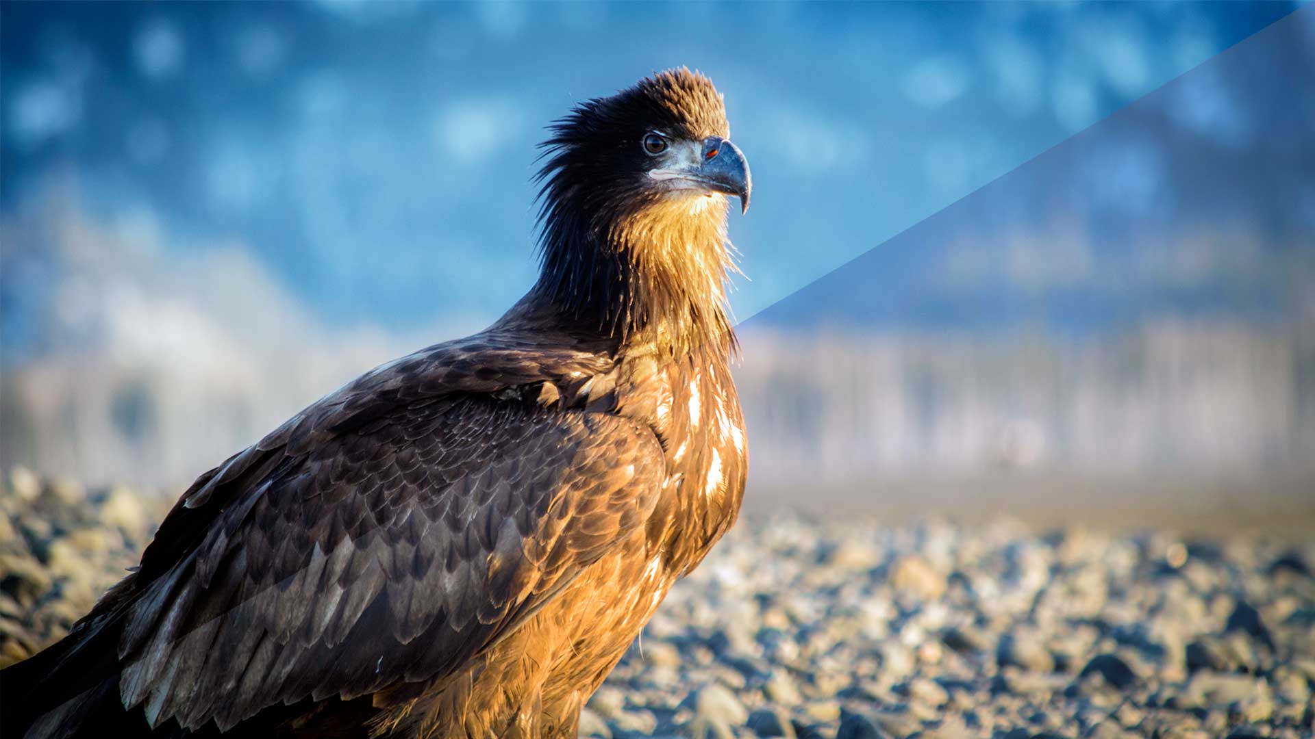 How To Get A Quick Film Look In Photoshop Photofocus how-to-get-a-quick-film-look-in-photoshop-photofocus