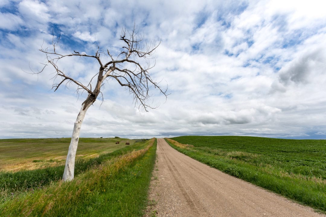 Five exercises to help you see - Lauri Novak