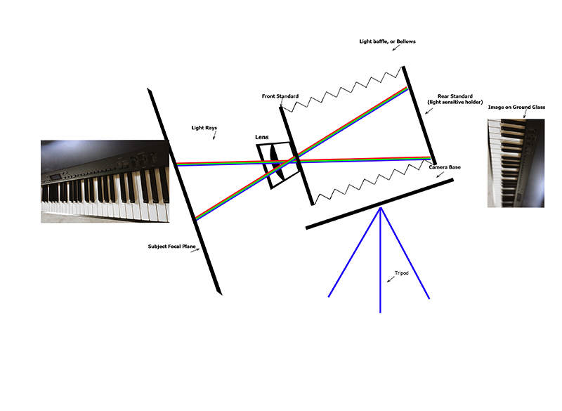 The View Camera Aesthetic in the Digital Realm part 2 - Photofocus