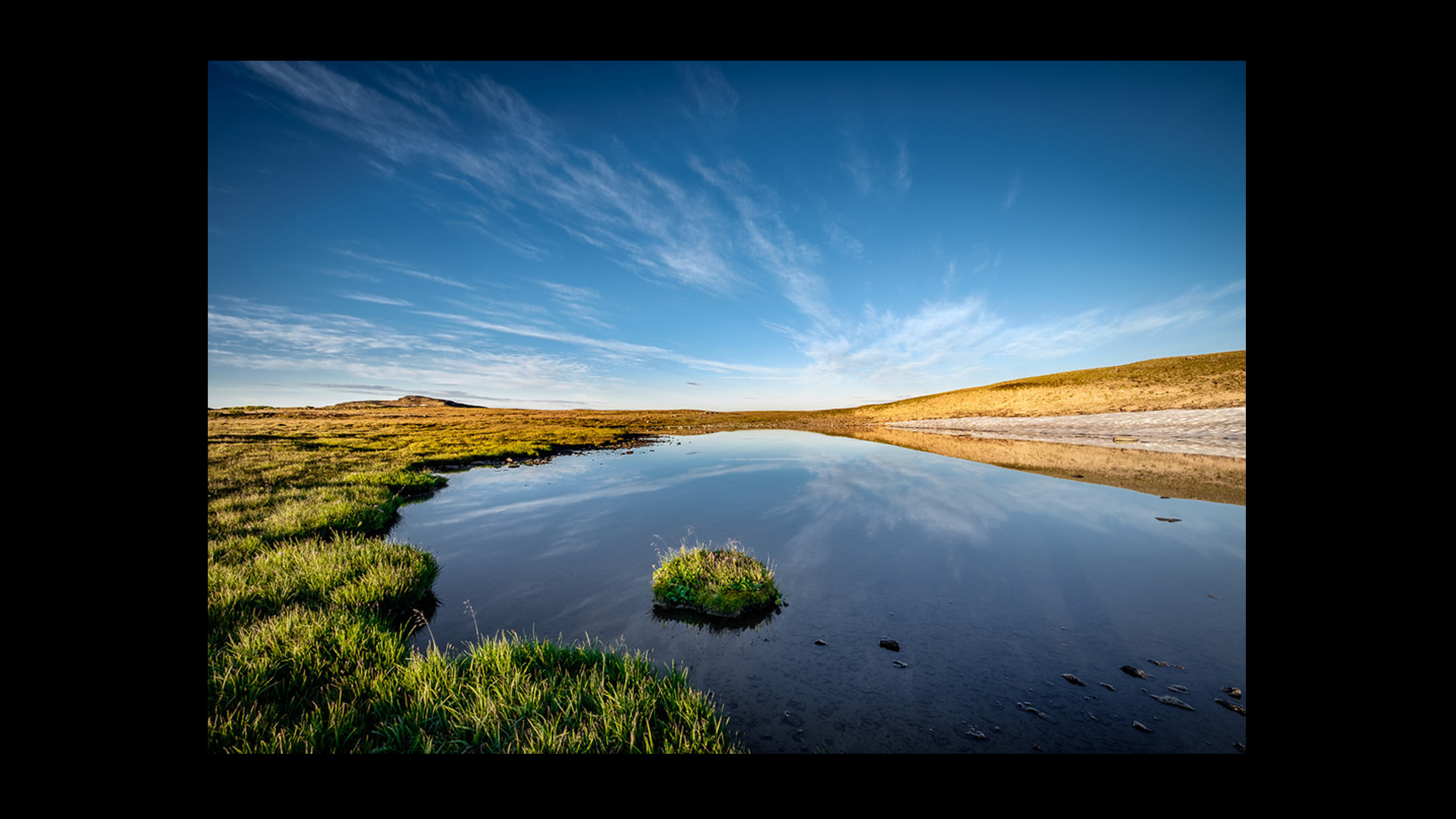 Photographer of the Day: Peter Weckesser - Photofocus