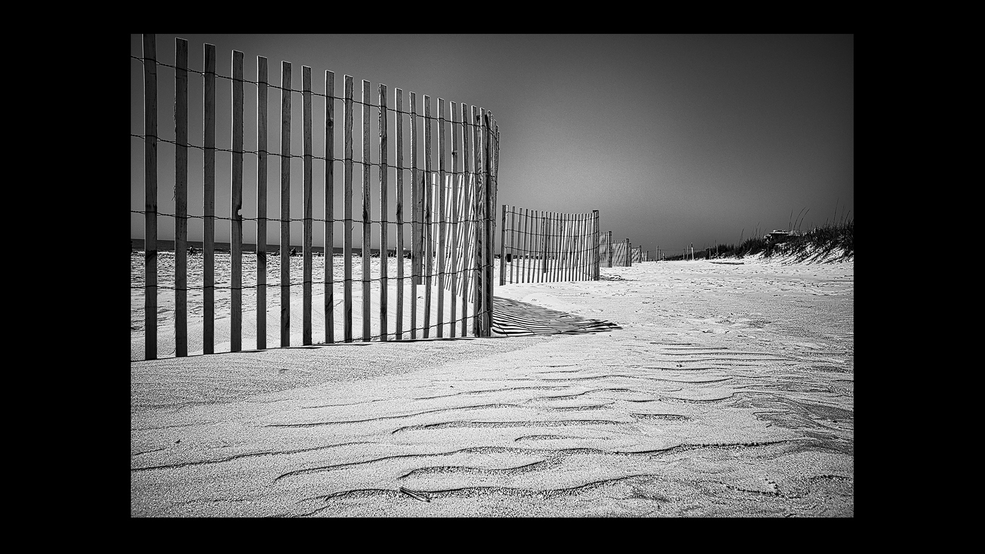 Photographer of the Day: Plane Sight Images - Photofocus