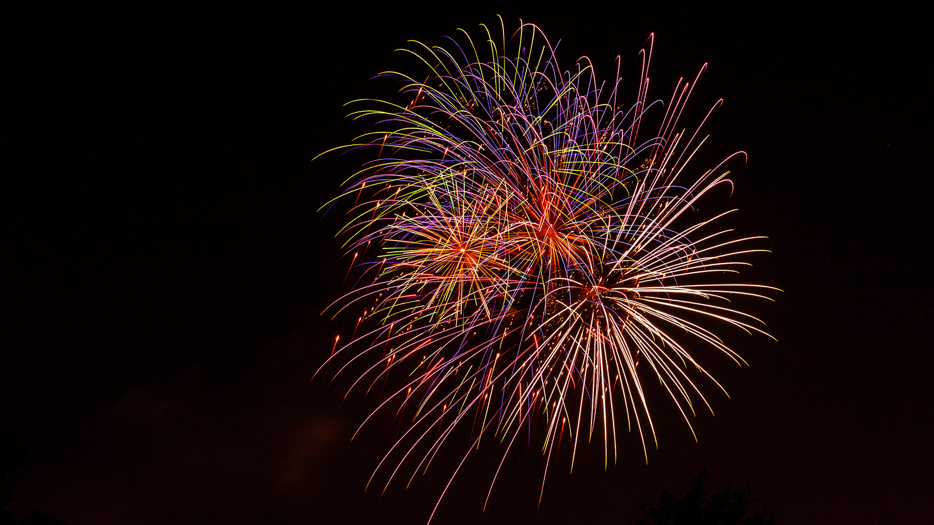 Quick Tip: Use a Black Card While Photographing Fireworks - Photofocus