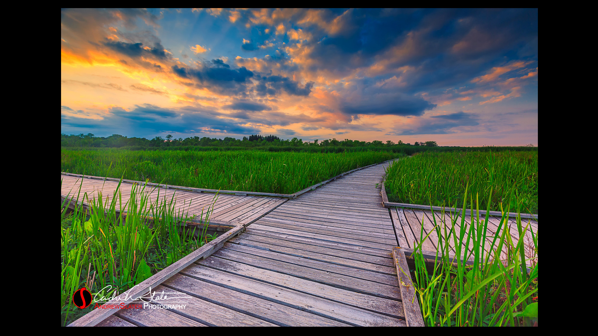 Photographer of the Day: Andrew Slater - Photofocus