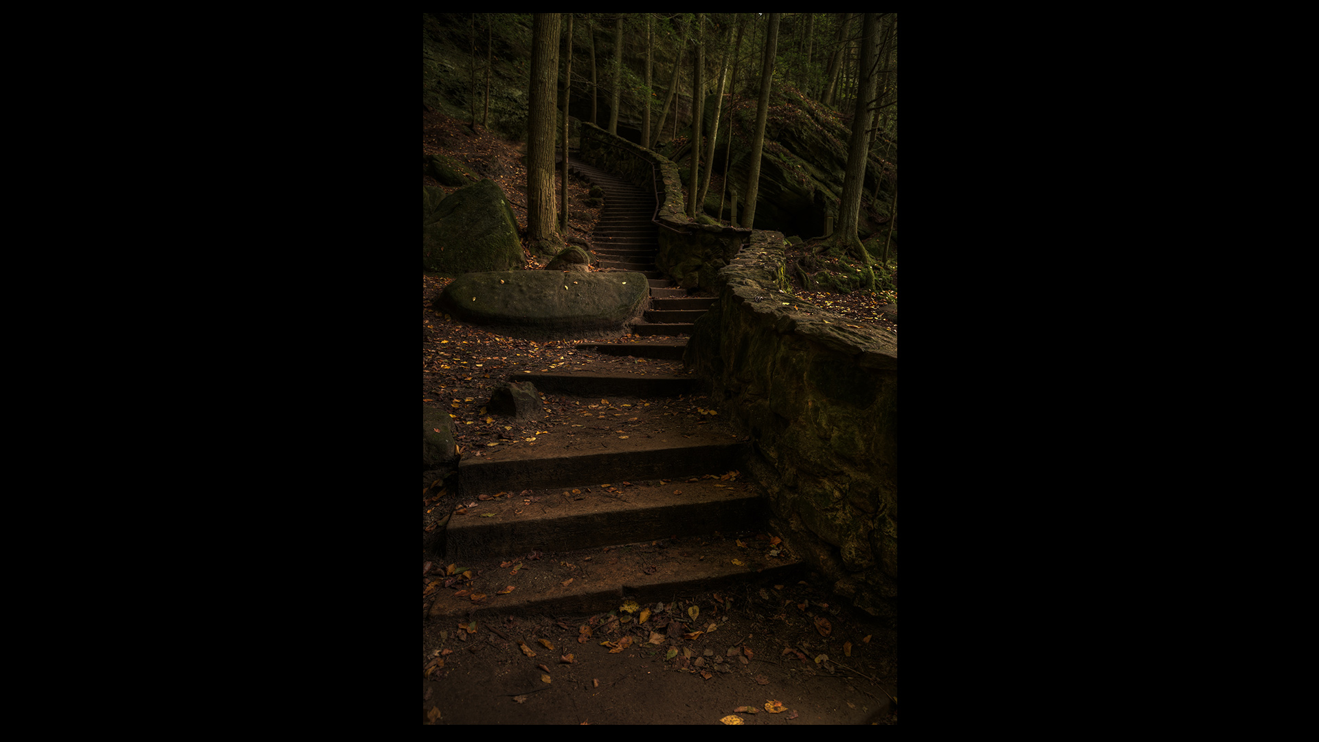 Photographer of the Day: Brandon Kopp - Photofocus