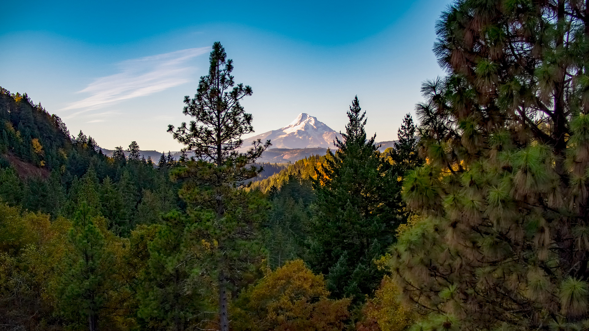 Final Cut Pro X Basics: Editing using musical peaks and beats to add ...