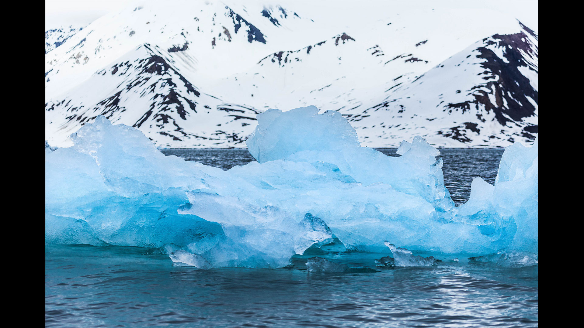 Photographer of the Day: Lauri Novak - Photofocus