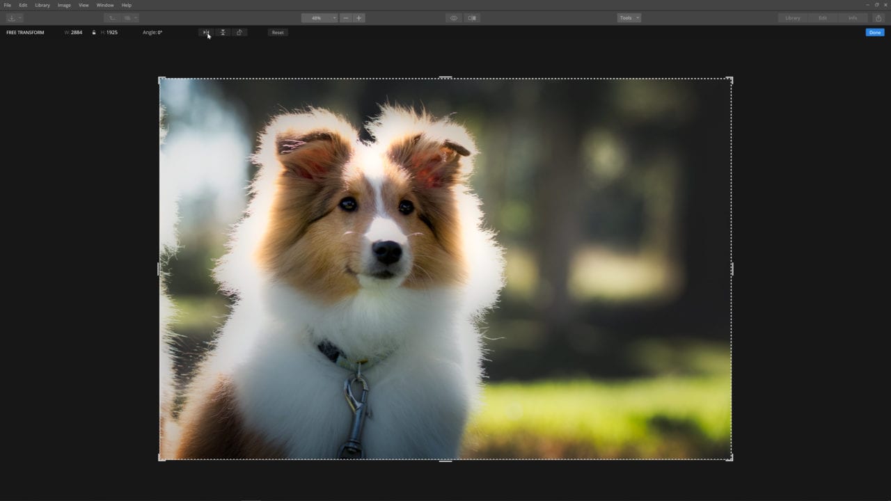 How to remove background distractions - Photofocus