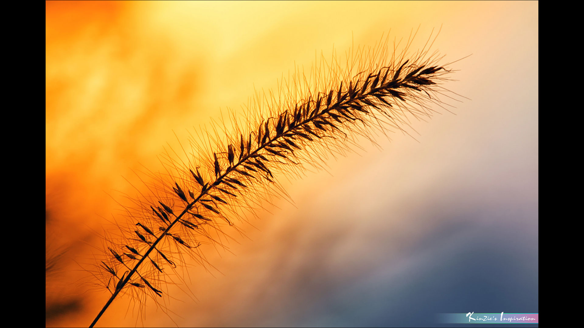Photographer of the Day: iLOVEnature Photography - Photofocus