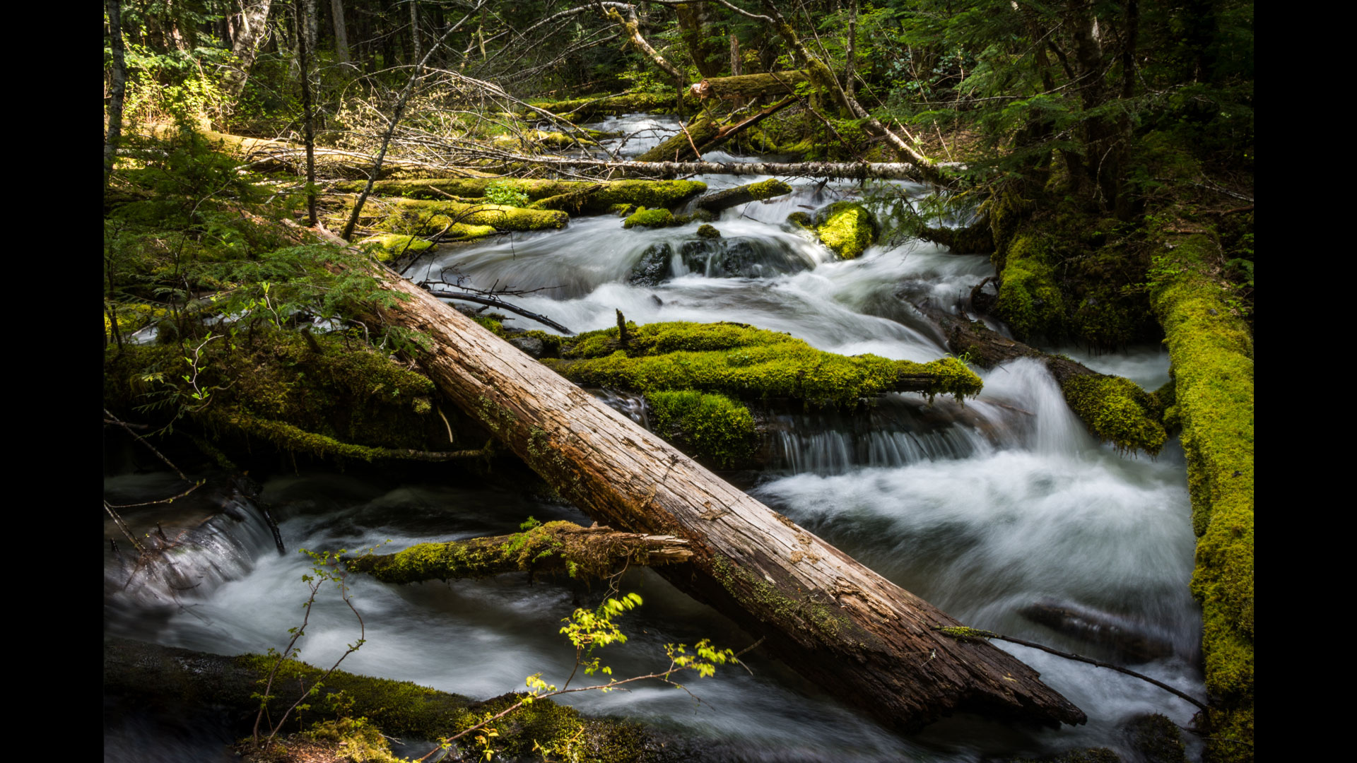 Photographer of the Day: Ethan Quin - Photofocus