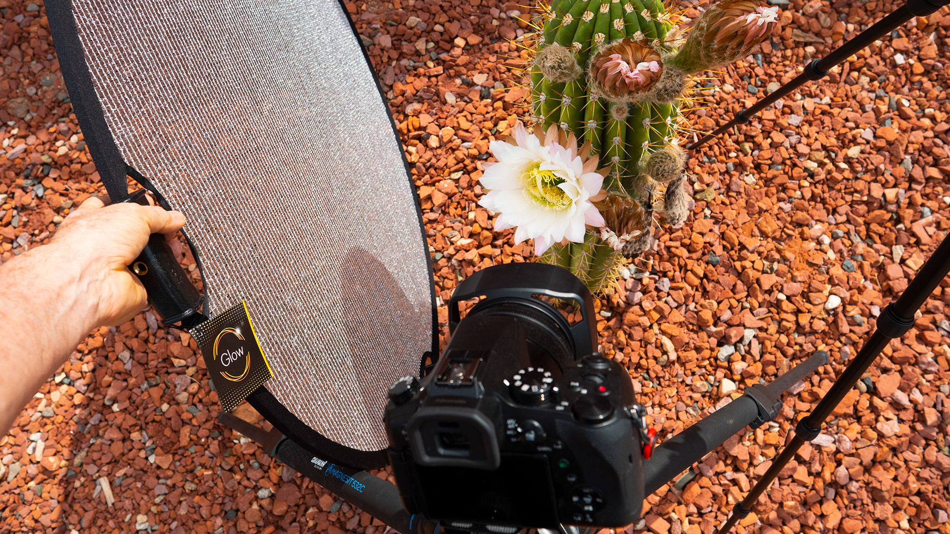 Glow reflector offers wind-proof benefits over traditional reflectors ...