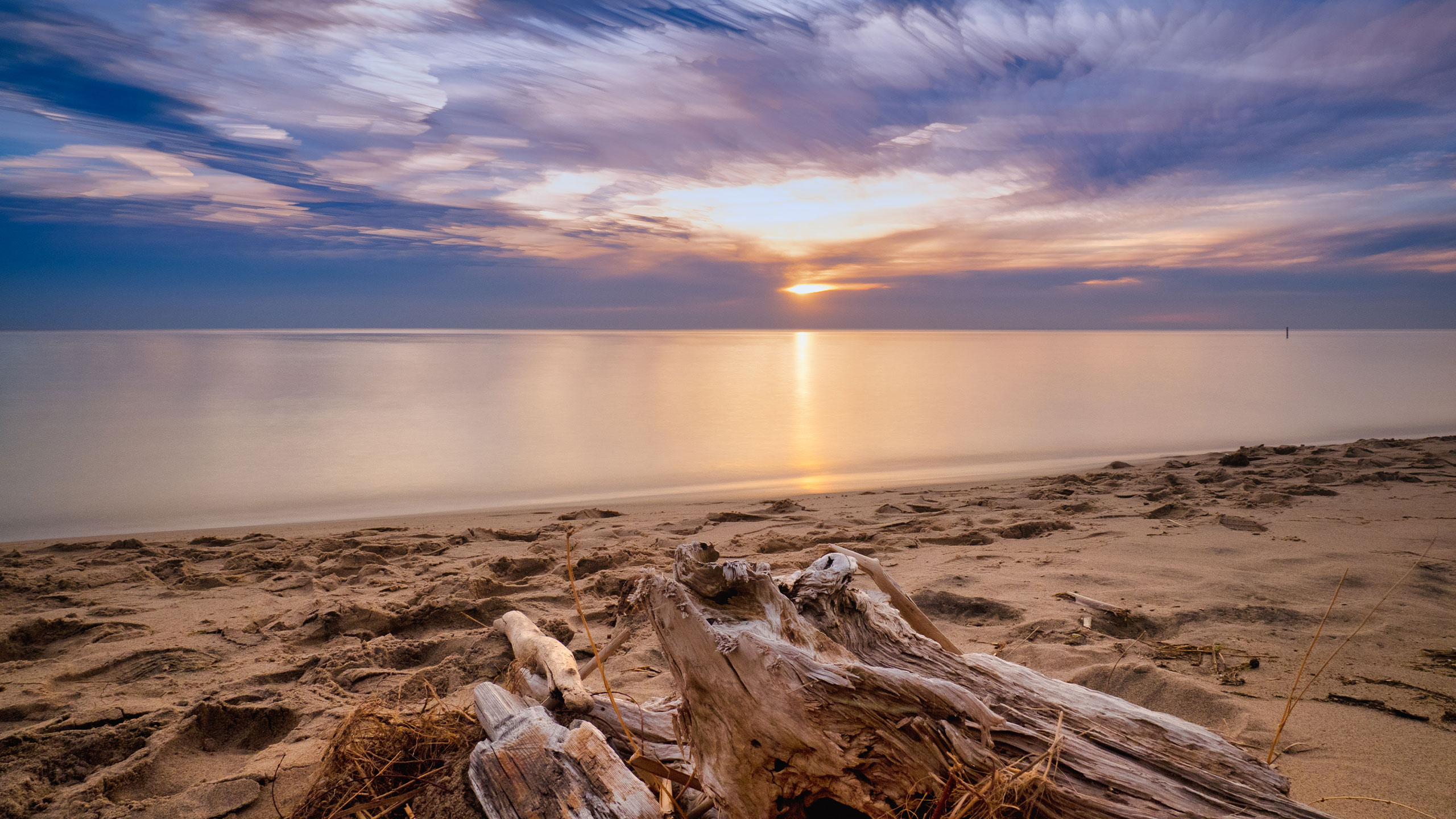 Creating redundancy with two Drobos - Photofocus
