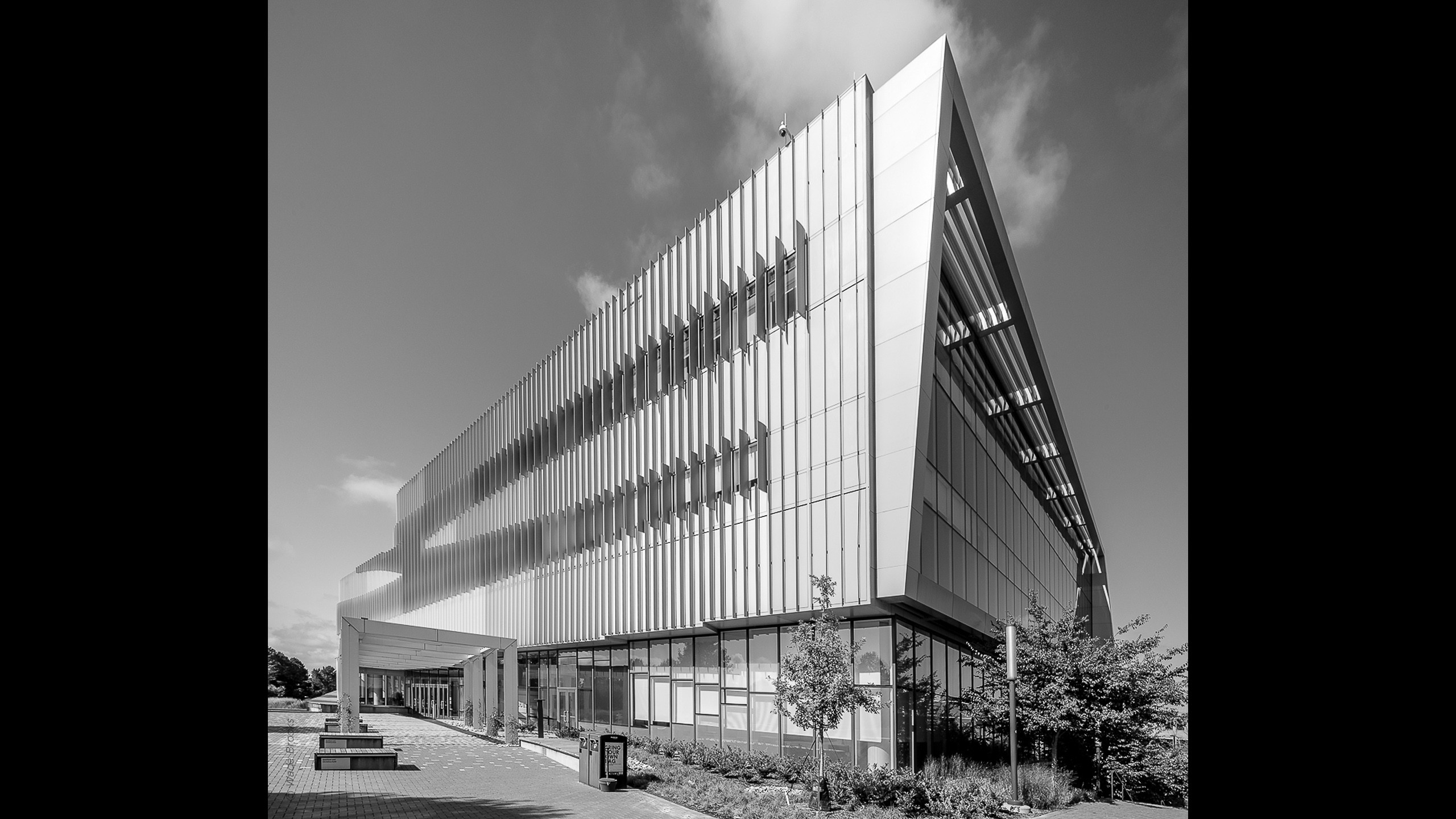 Photographer of the Day: Wade Brooks - Photofocus