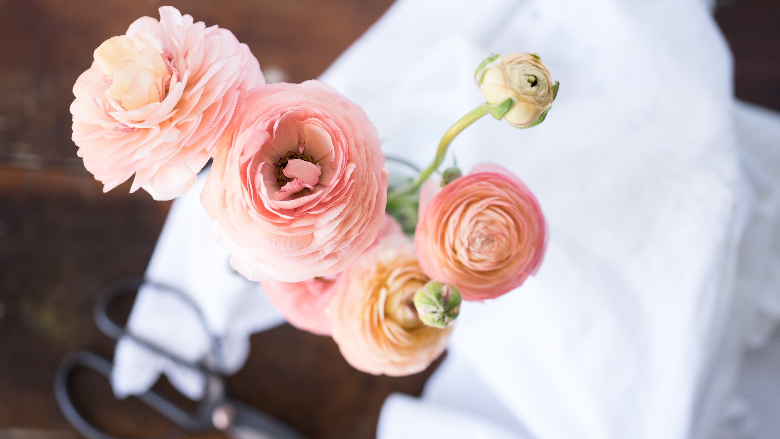 Creating soft beautiful images with natural window light - Photofocus