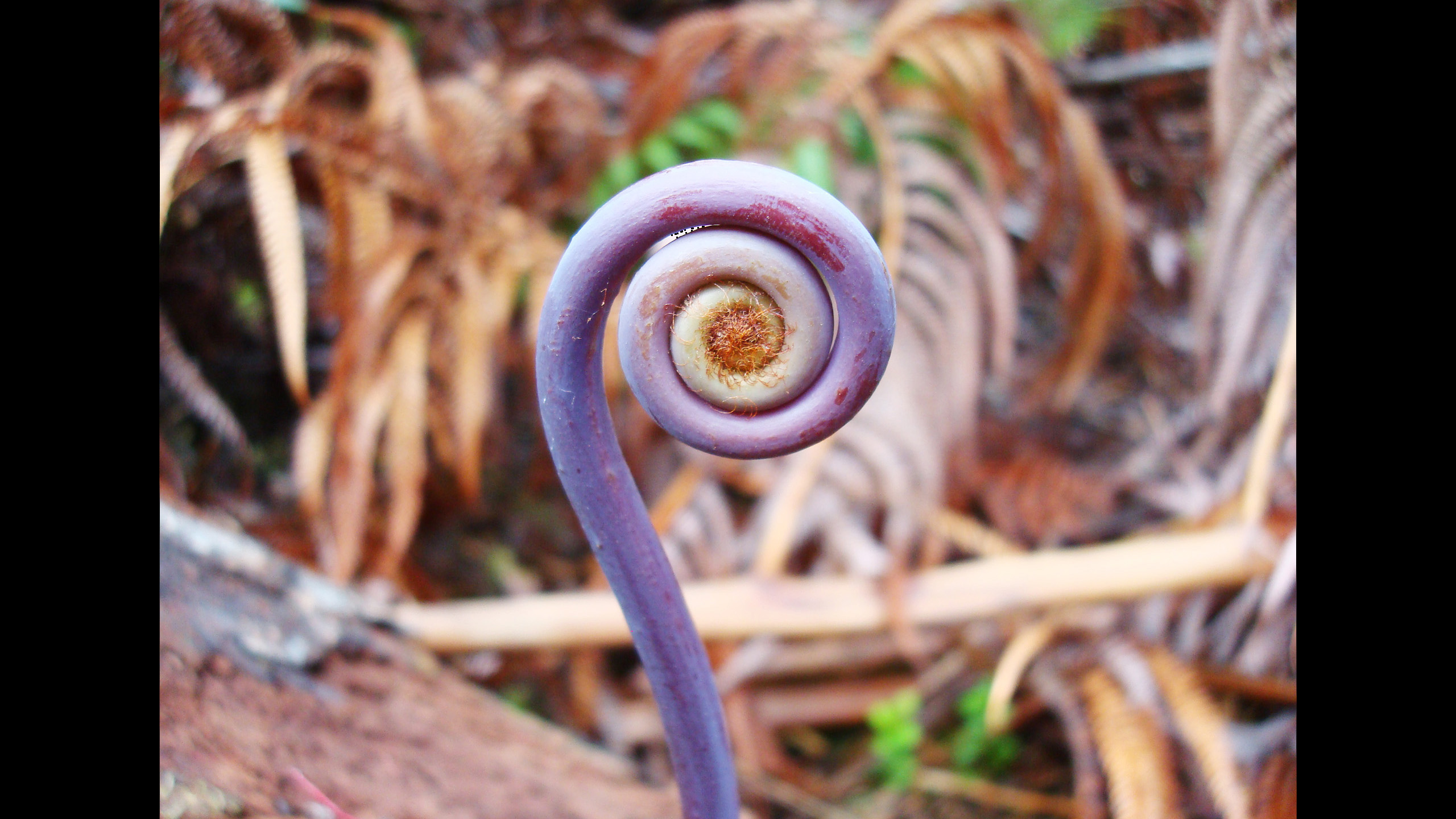 Photographer of the Day: Andrew Ford - Photofocus