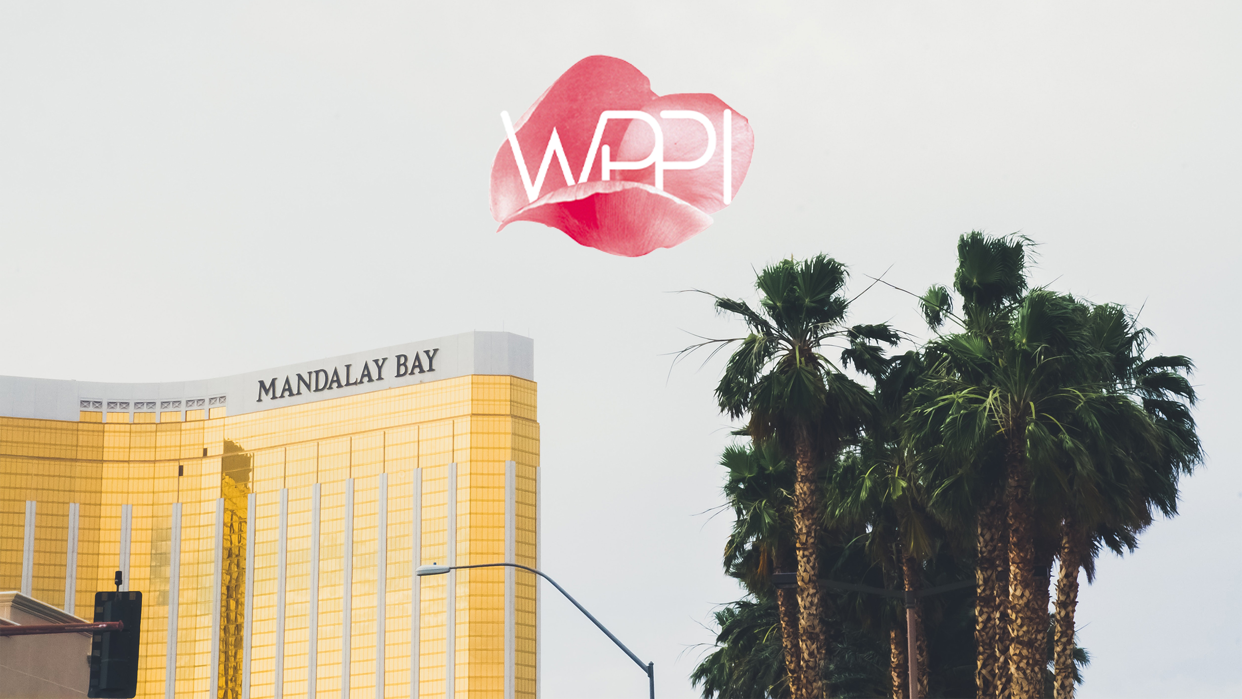 Looking back at WPPI - Photofocus