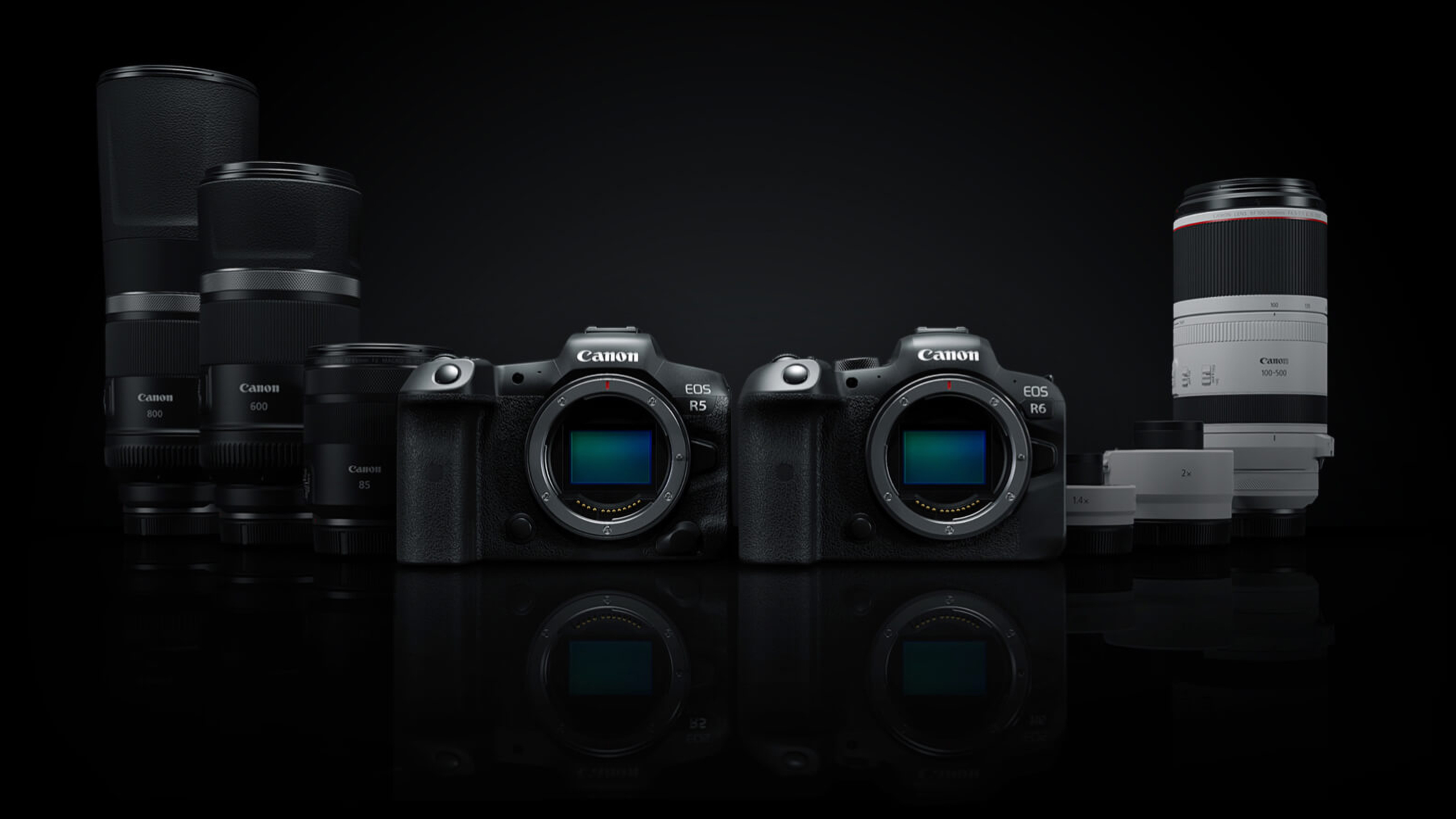 Canon officially announces R5, R6 and several new RF lenses - Photofocus