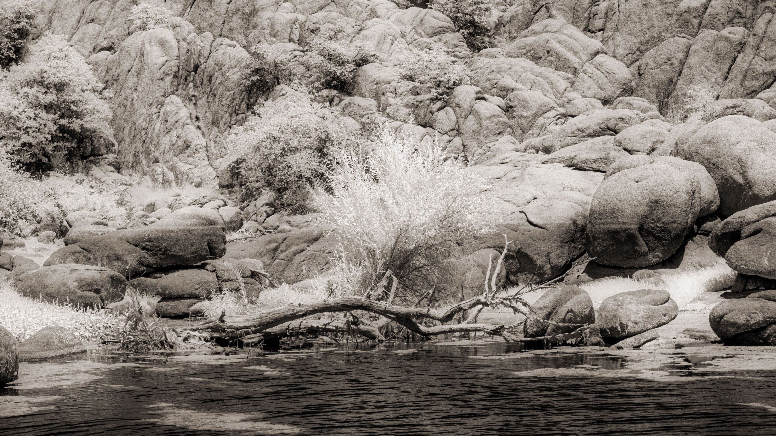 Adding a tone to infrared photos - Photofocus