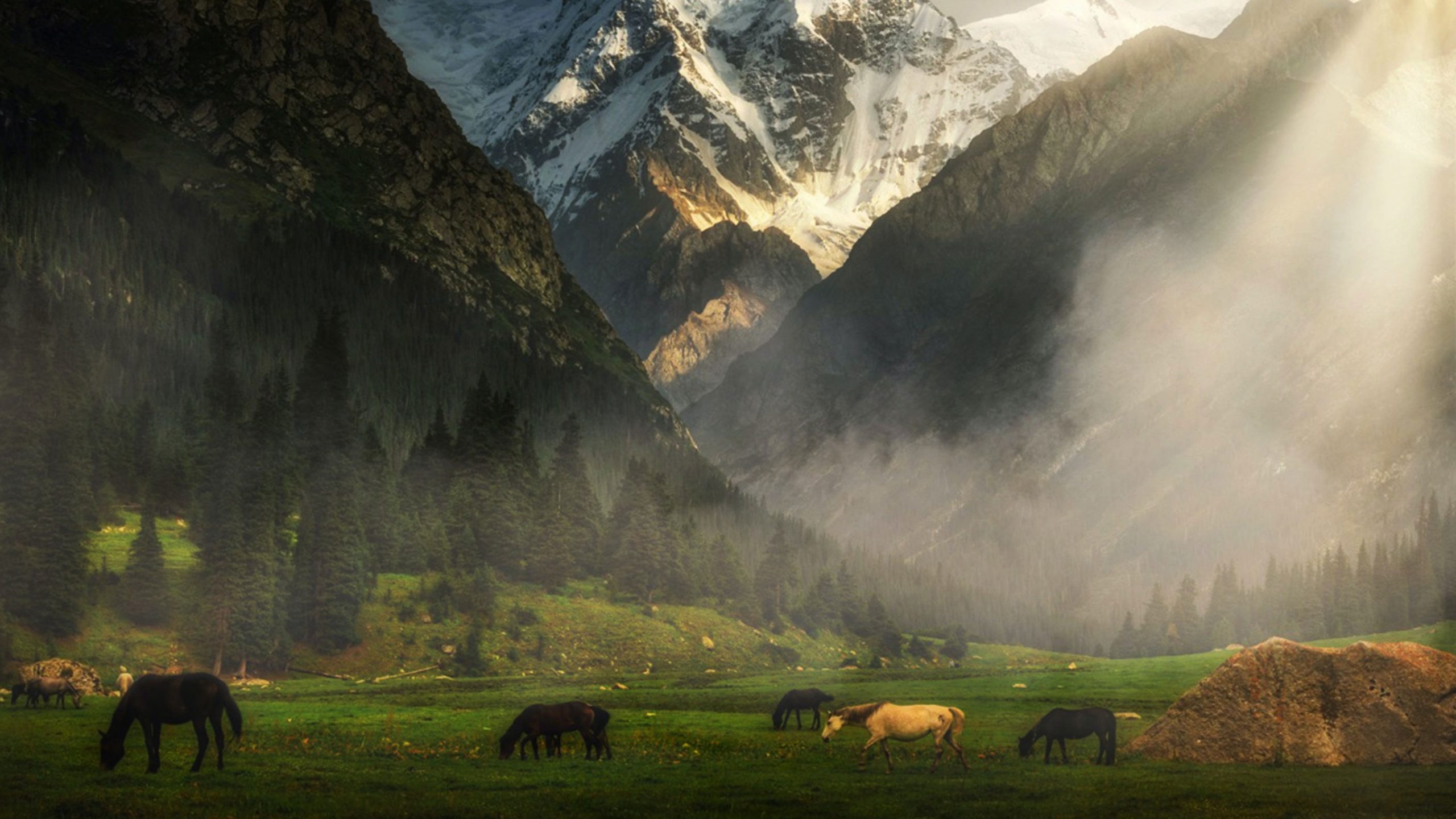 Add depth and weather effects to your images with AtmosphereAI - Photofocus