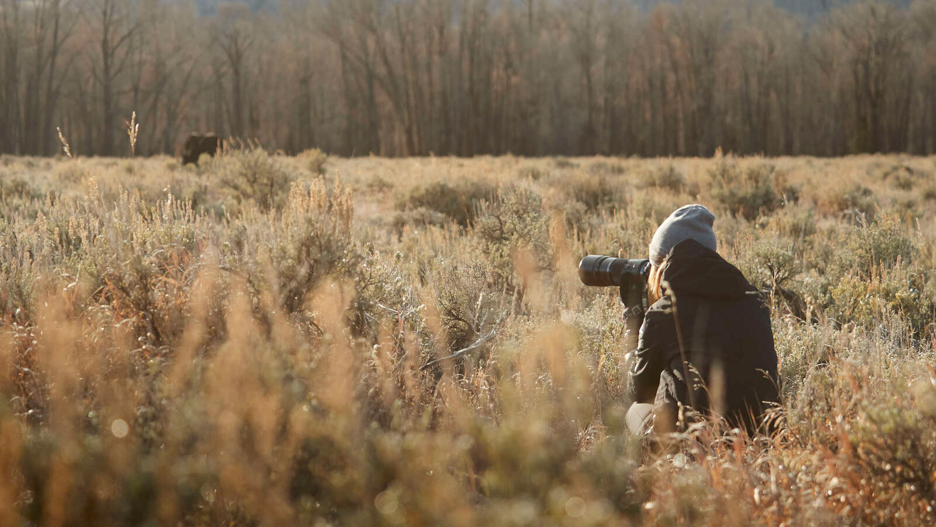 Olympus launches the Break Free Program - Photofocus