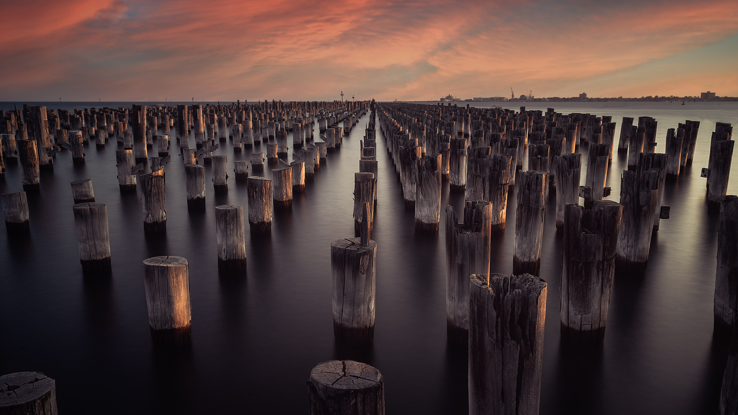 Is it time to make BBF your new BFF? - Photofocus