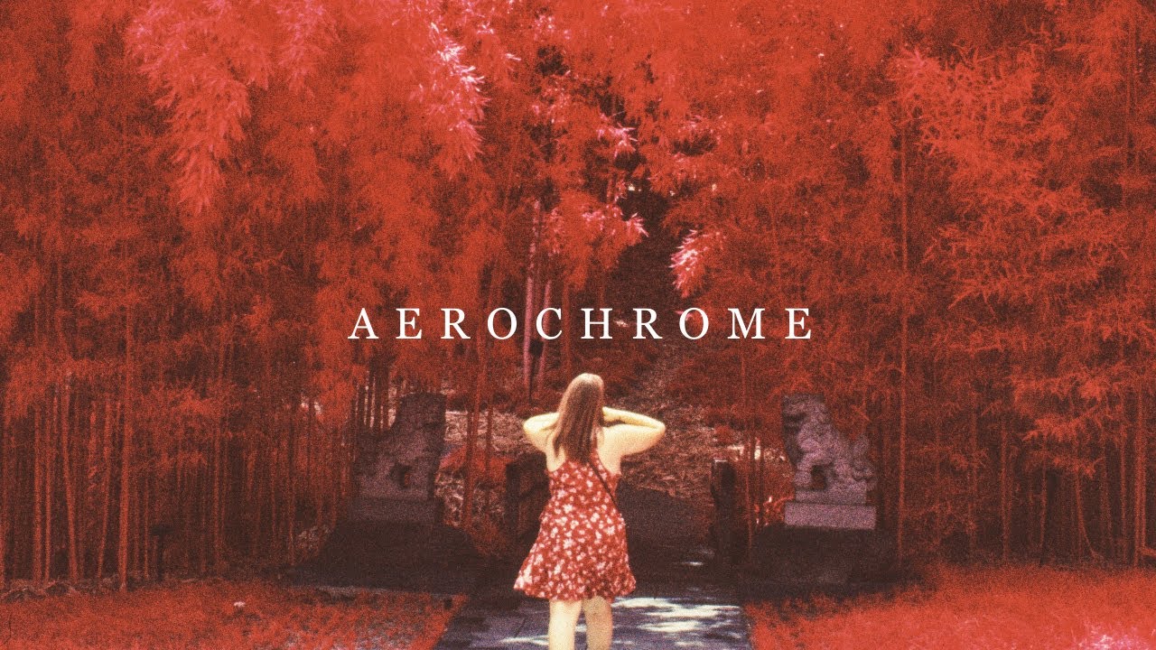 Otherworldly snaps taken with Kodak Aerochrome film - Photofocus