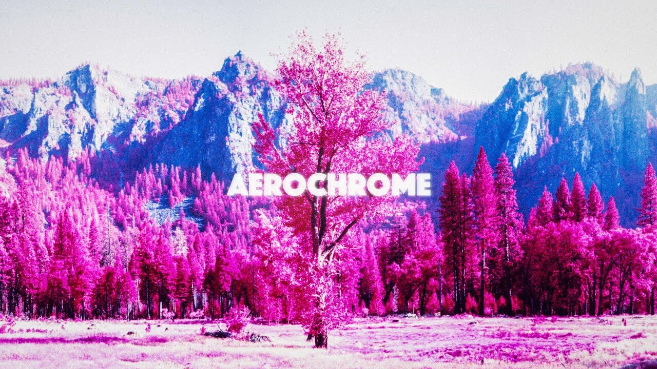 Capturing Yosemite with the iconic Kodak Aerochrome film - Photofocus