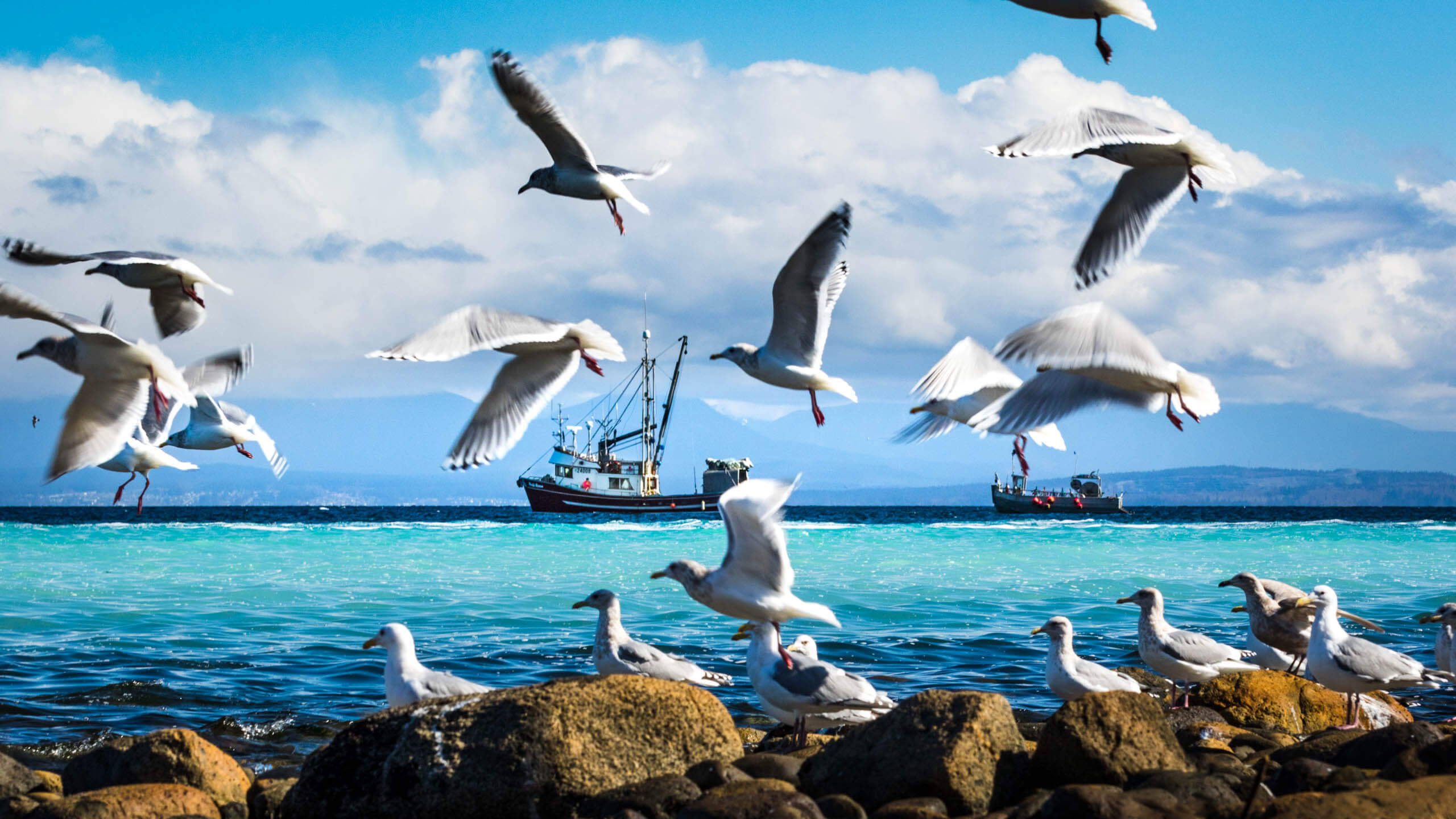 Compiling your annual best images for future self-critique - Photofocus