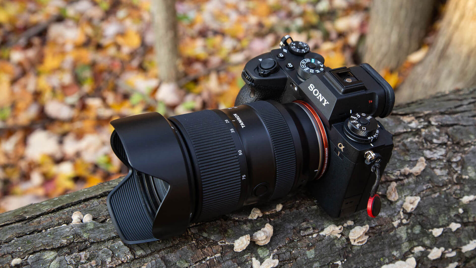 Making Your Tamron Lens Fit You A Look At The Tamron Lens Utility Making Your Tamron Lens Fit You A Look At The Tamron Lens Utility