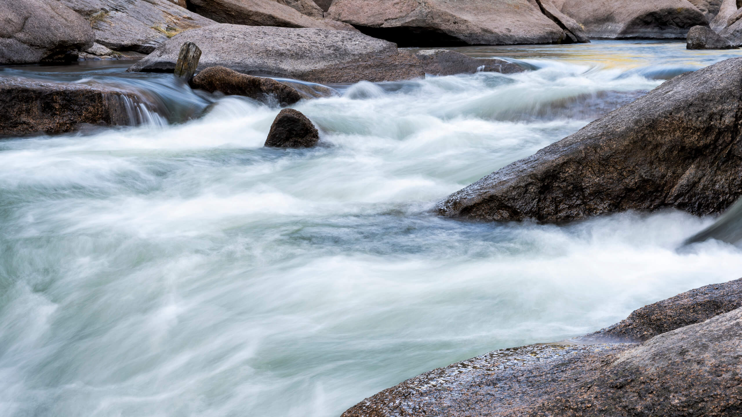 Becoming one with nature through photography - Photofocus