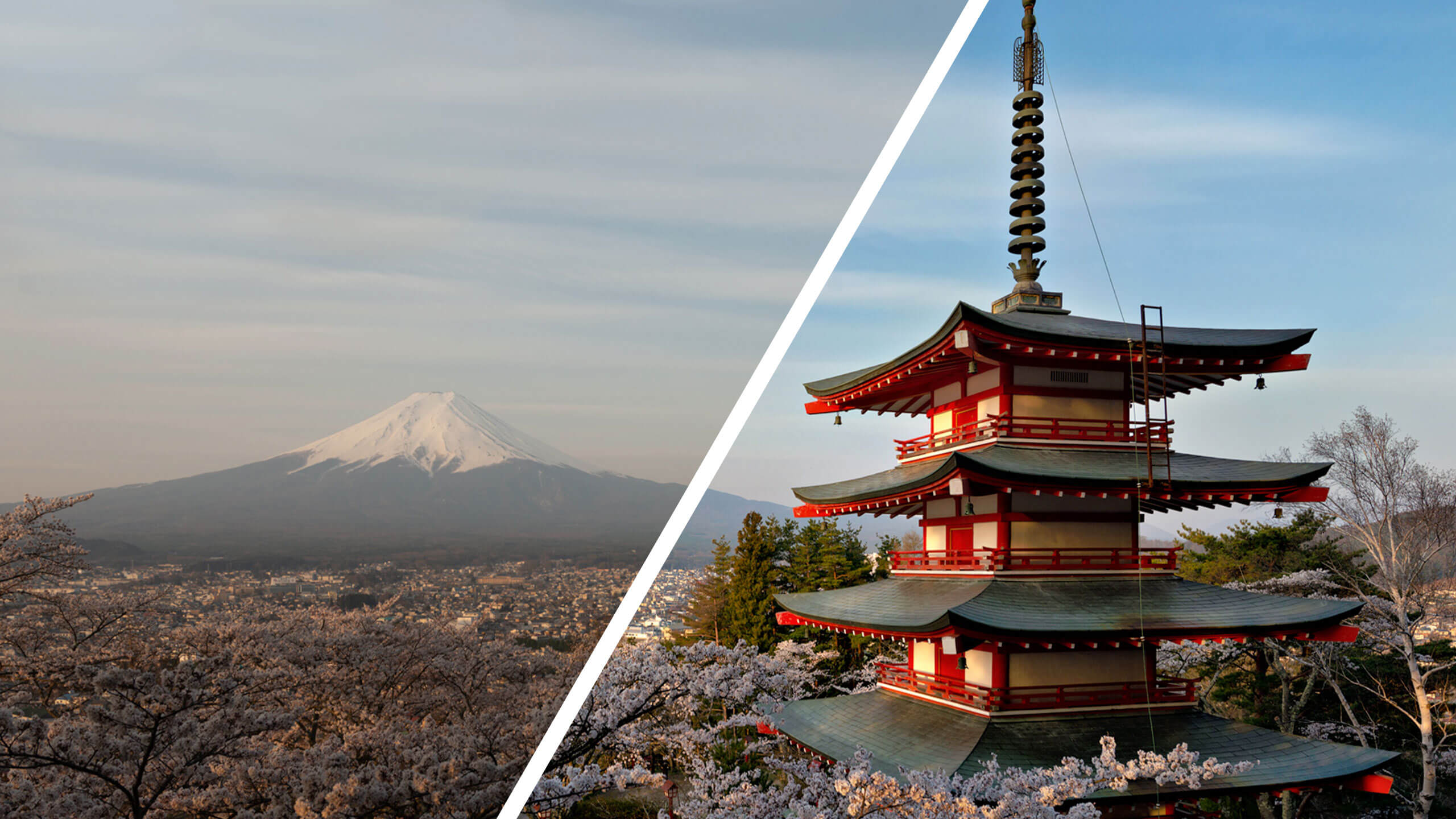 Find out what Radiant Photo is all about, in tonight's free webinar ...