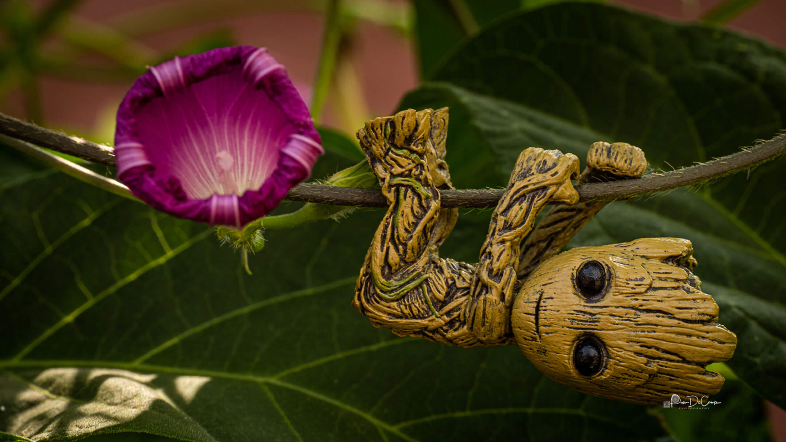 Just for fun: Six ways to get out of a creative funk - Photofocus