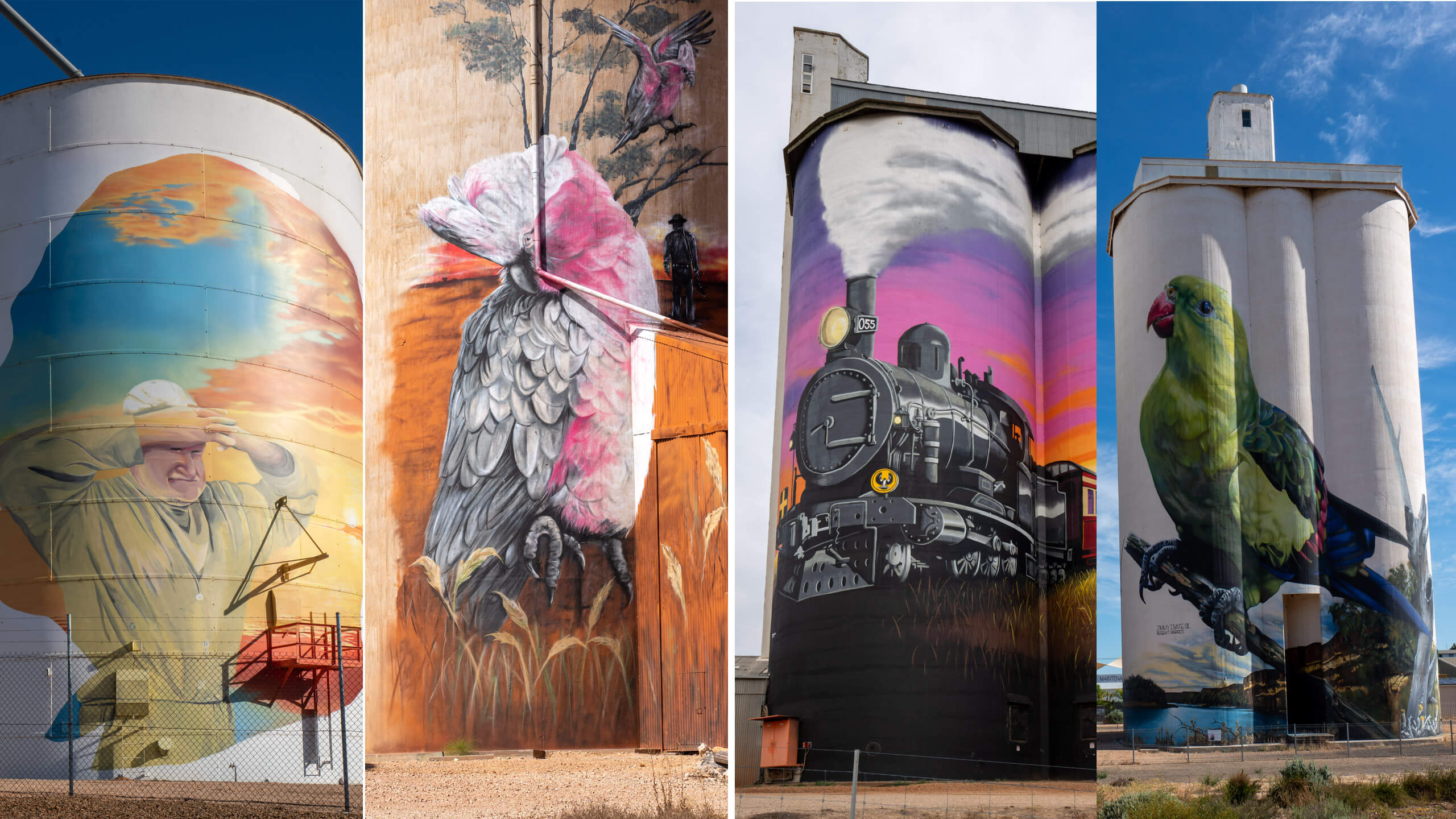 Travel Notes: South Australian silo art trail - Photofocus