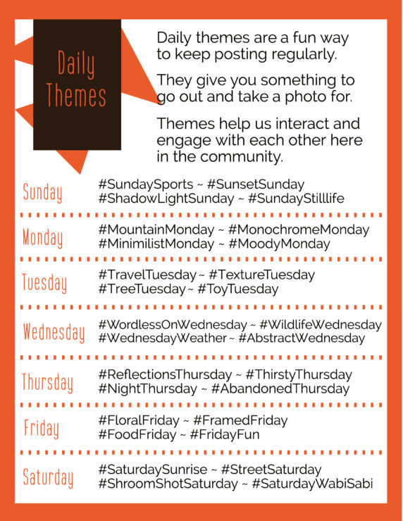 Daily themes to focus our work - Lauri Novak